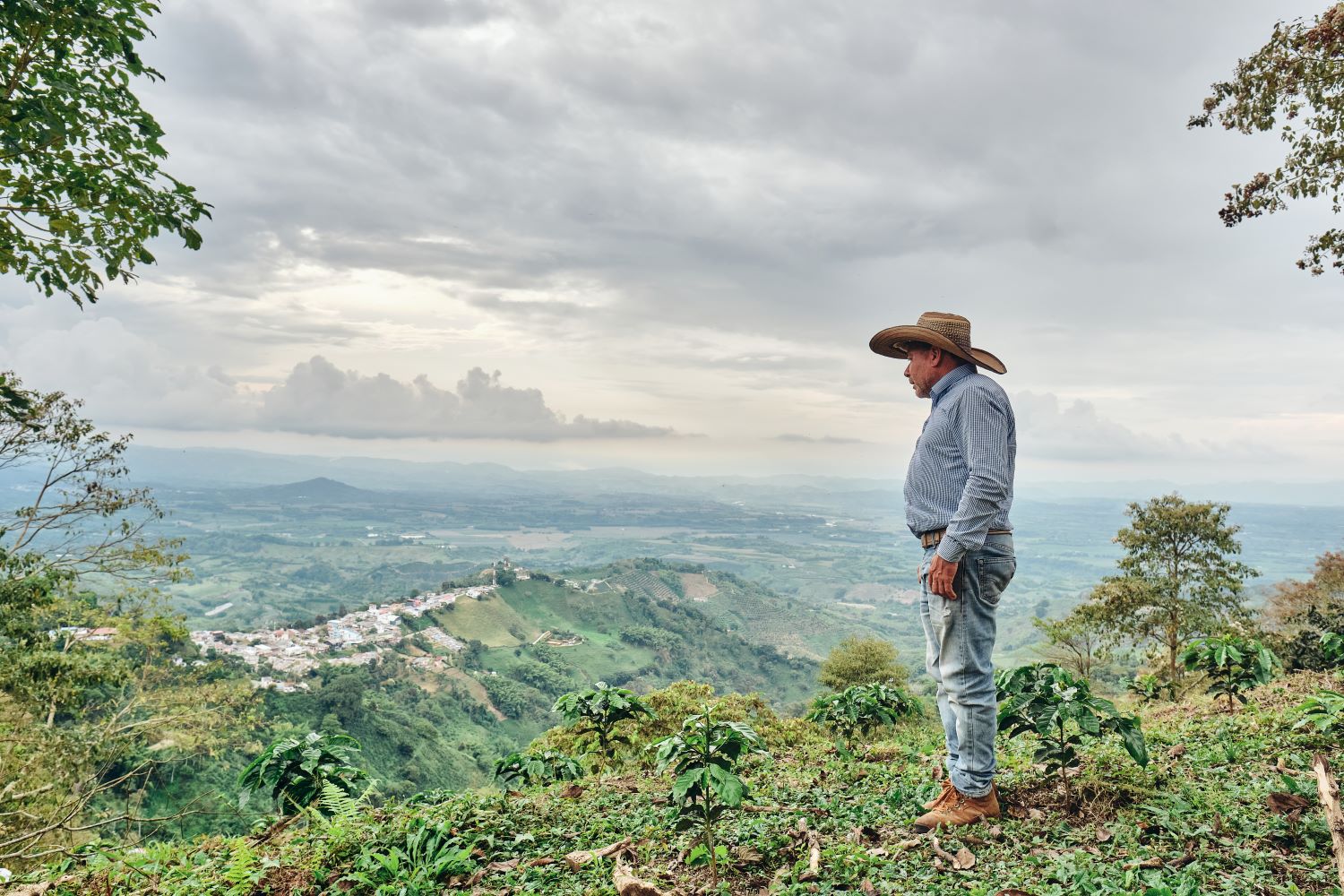 The Cost of Specialty: Exploring Specialty Coffee with Cofinet in ...